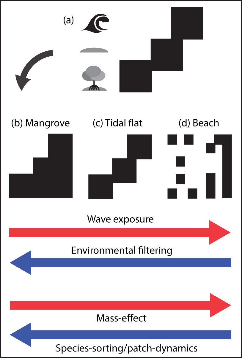 Habitat Attributes Dictate the Roles of Dispersal and Environmental ...